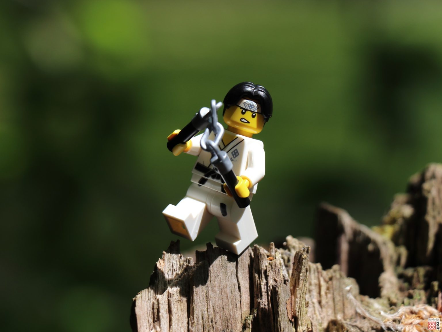 LEGO Fotografie - Brickzeit