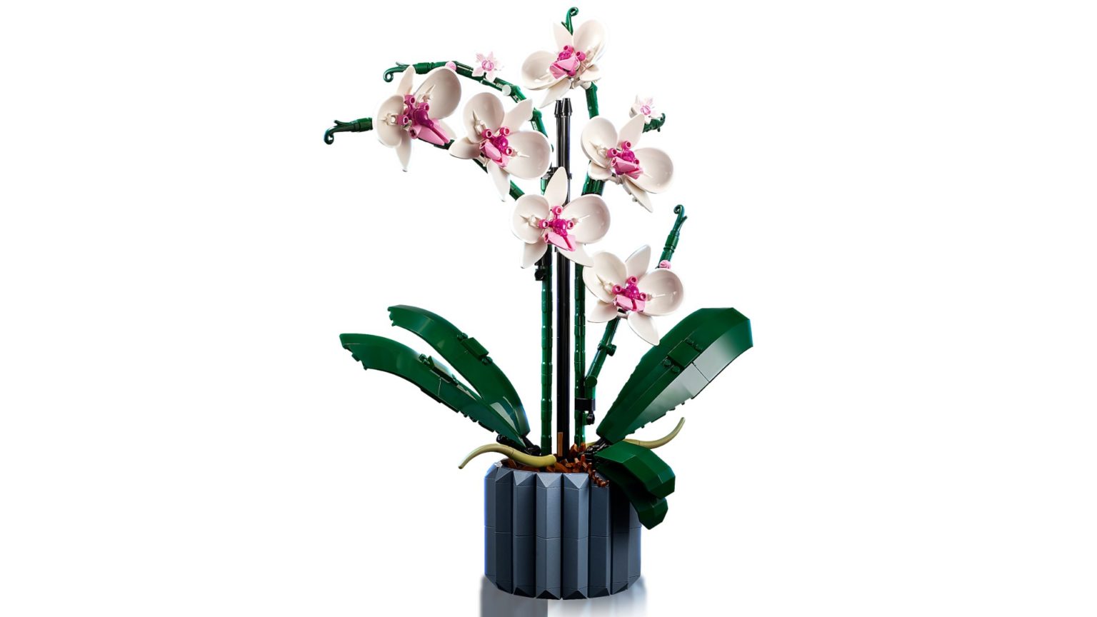 LEGO 10311 Orchideen und 10309 Sukkulenten ab 1. Mai 2022 verfügbar ...
